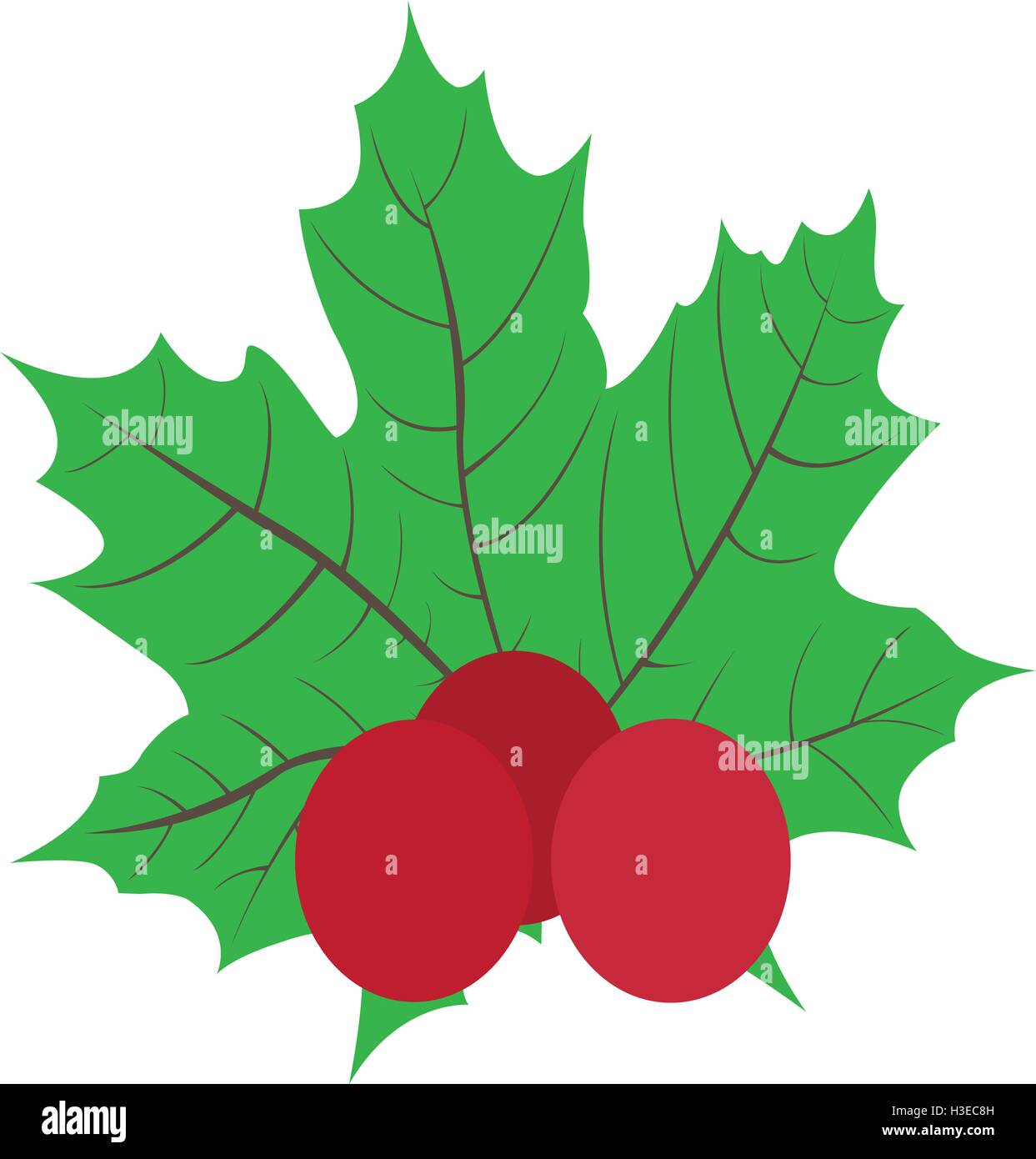 Isolated christmas leaves on a white background, Vector illustration ...