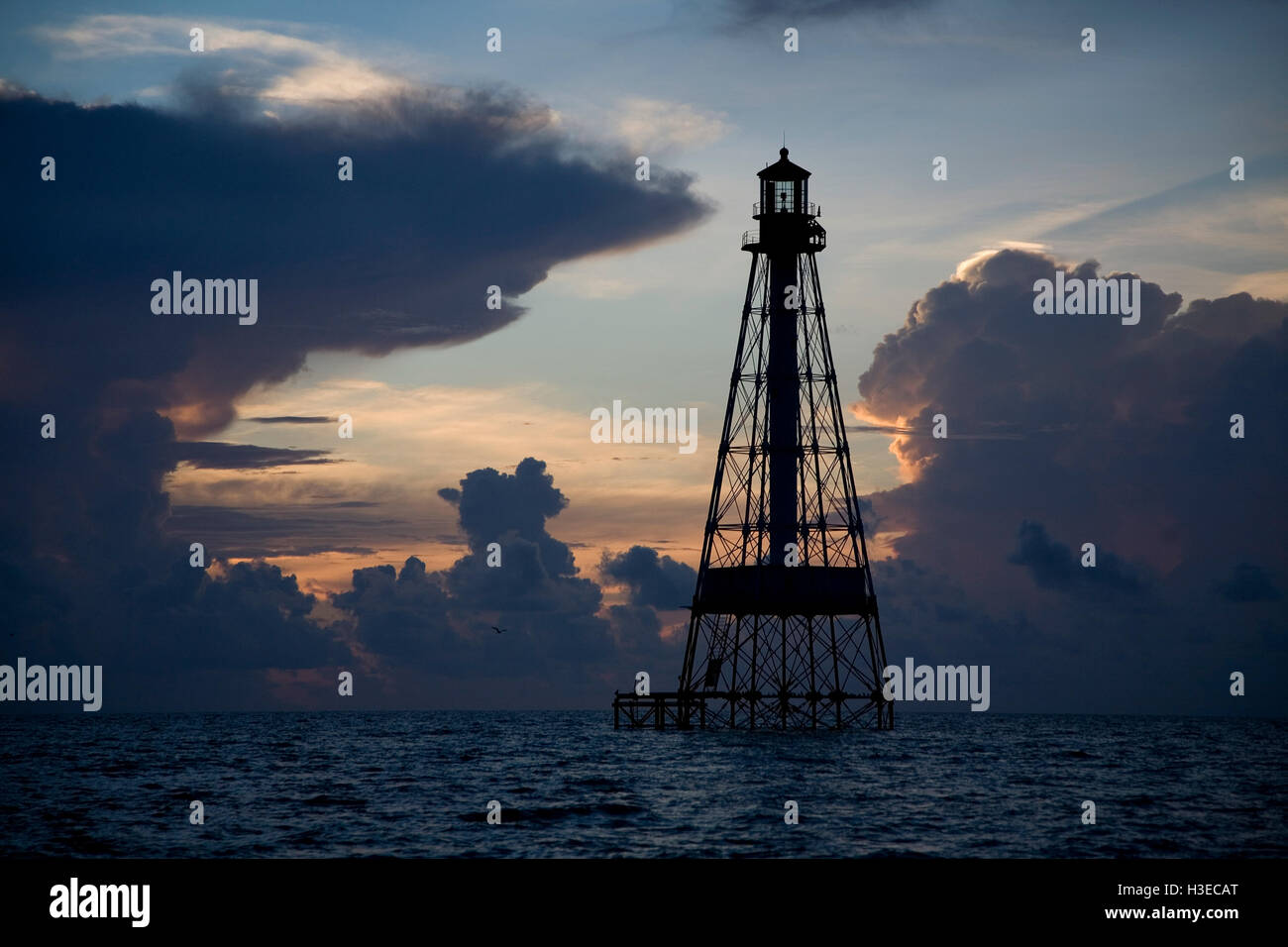 The iron skeletal tower of historic Alligator Reef Light is framed ...