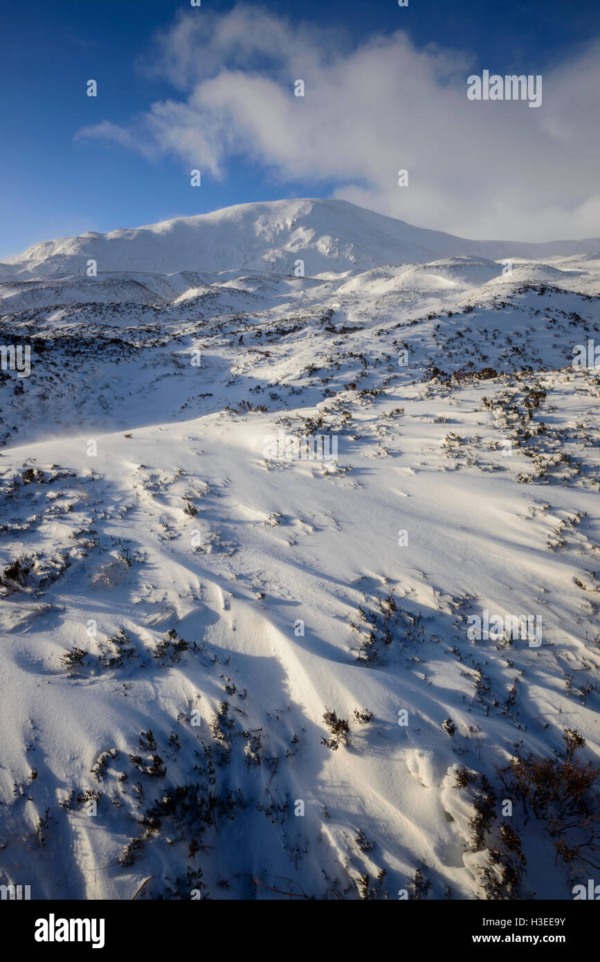 White Coomb (a Corbett) in winter snow, Grey Mare's Tail Nature Reserve ...