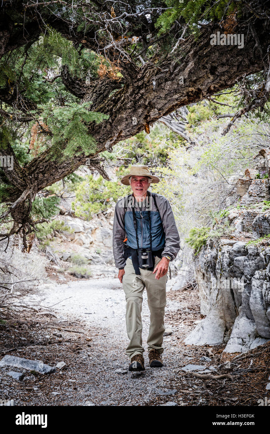 Top notch hi-res stock photography and images - Alamy