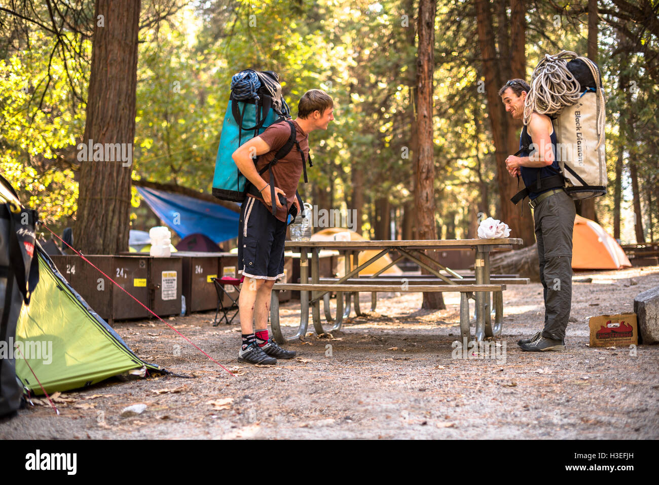 Two climbers racking up before climbing a route on El Capitan. Yosemite ...