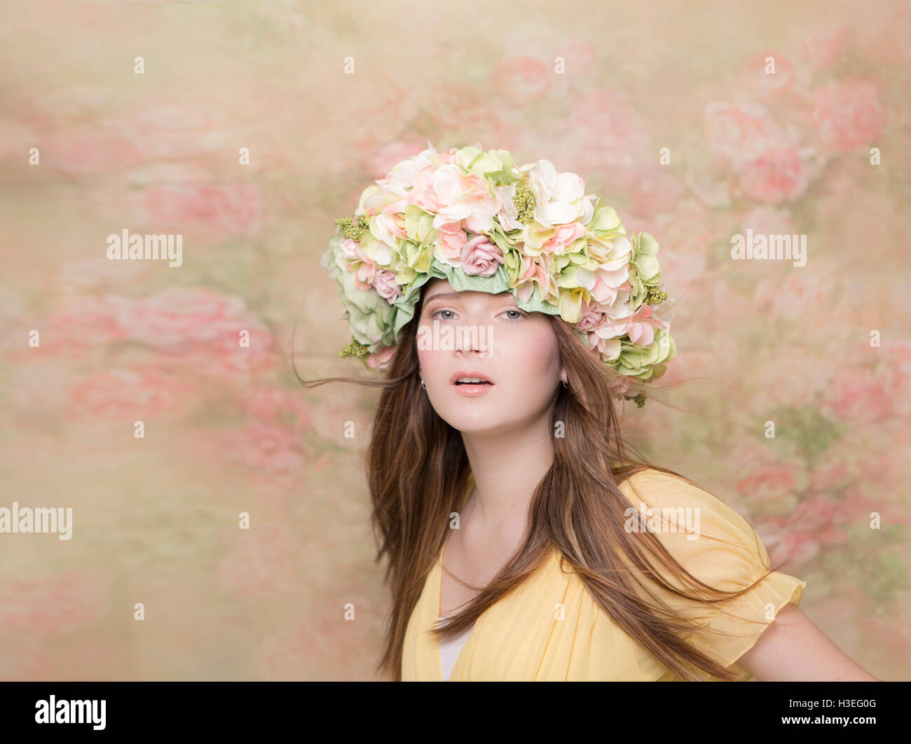 Beauty queen studio hi-res stock photography and images - Alamy