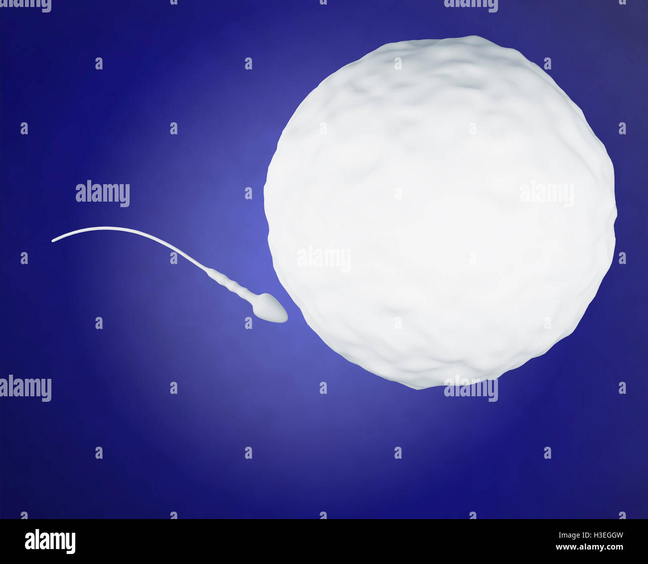 3d renderer image. Spermatozoons going to the Ovule. Fecundation ...