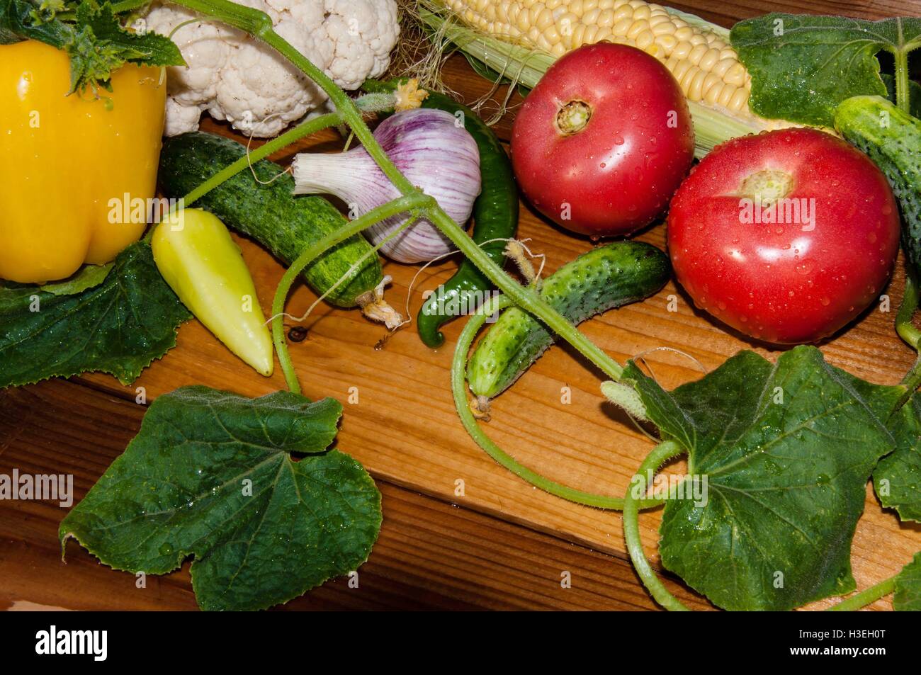 Ripe and fresh vegetables on a wooden countertop Stock Photo - Alamy