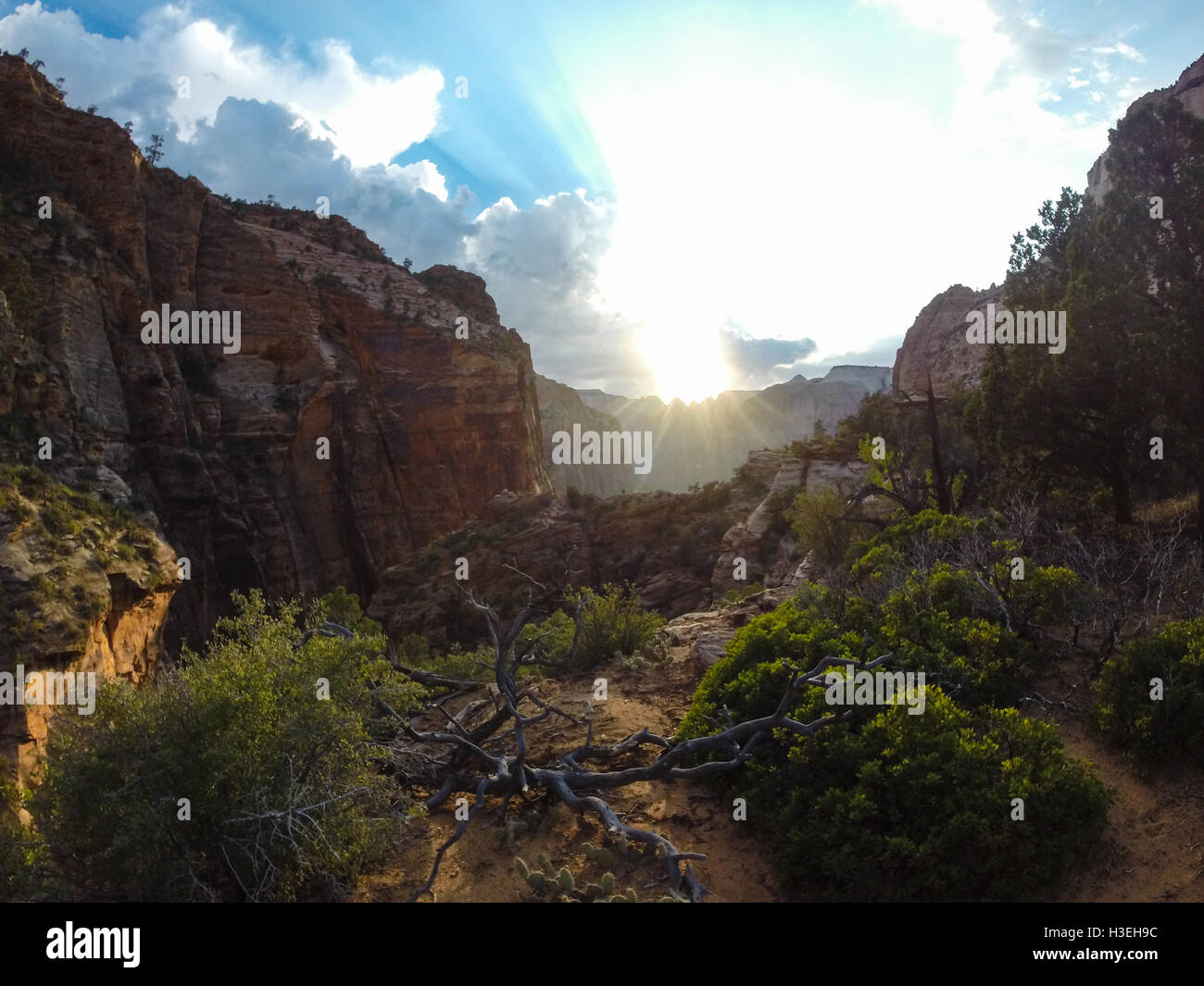 Sunset in Overlook Canyon Stock Photo - Alamy