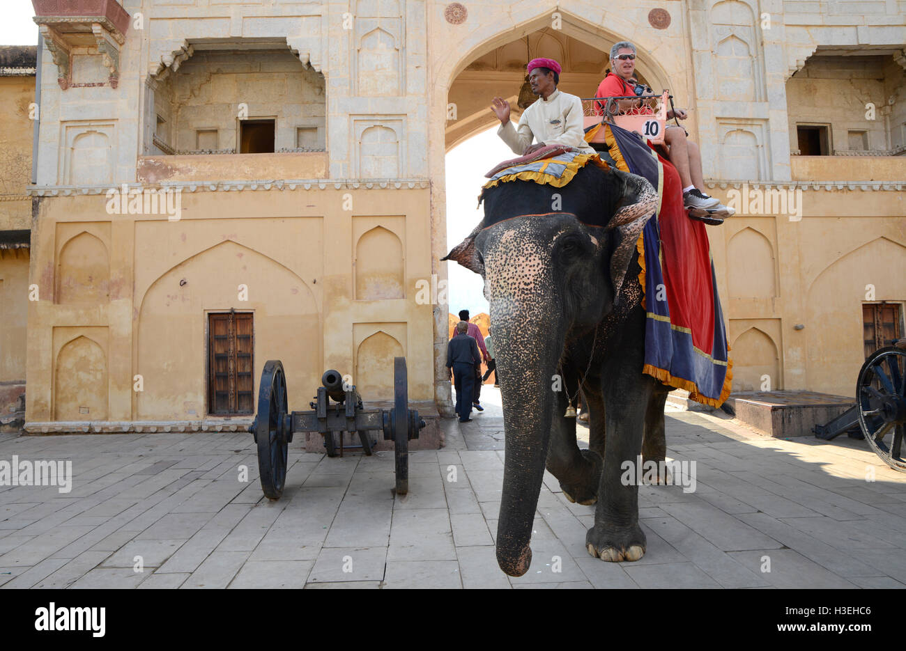 Asian Elephant at Amber Fort (Amer Fort) in Jaipur,Rajasthan,India ...