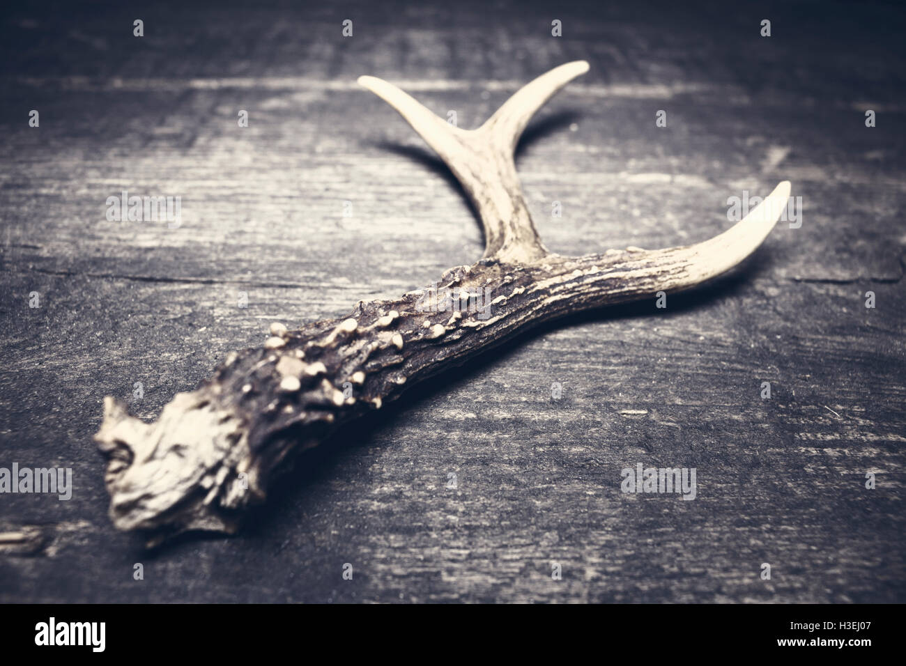 Deer Antlers Against Rustic Wooden Background Stock Photo - Alamy