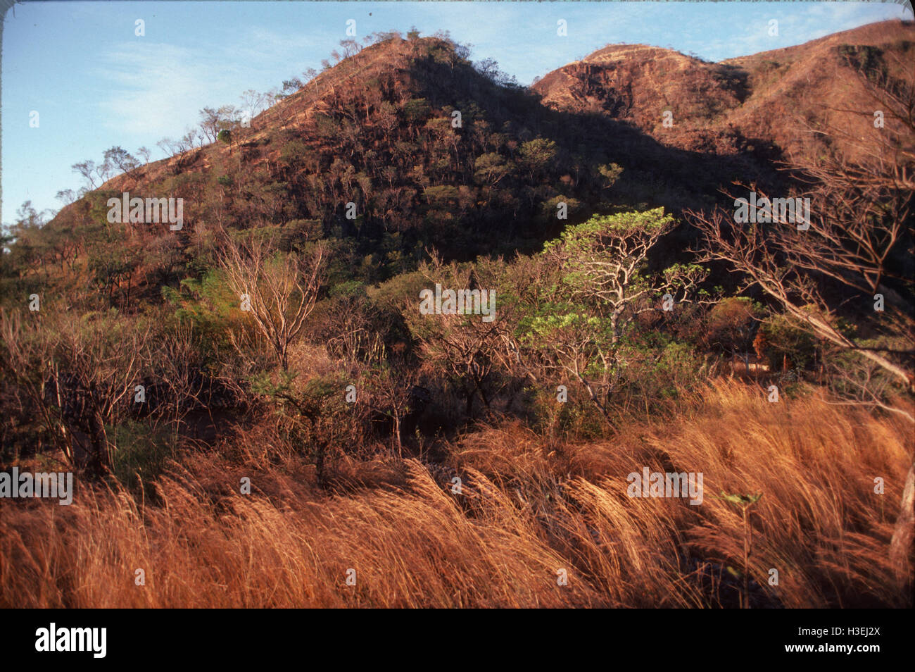 GUAZAPA, EL SALVADOR, July 1982 : - Within the FPL Guerrilla's Zones of ...