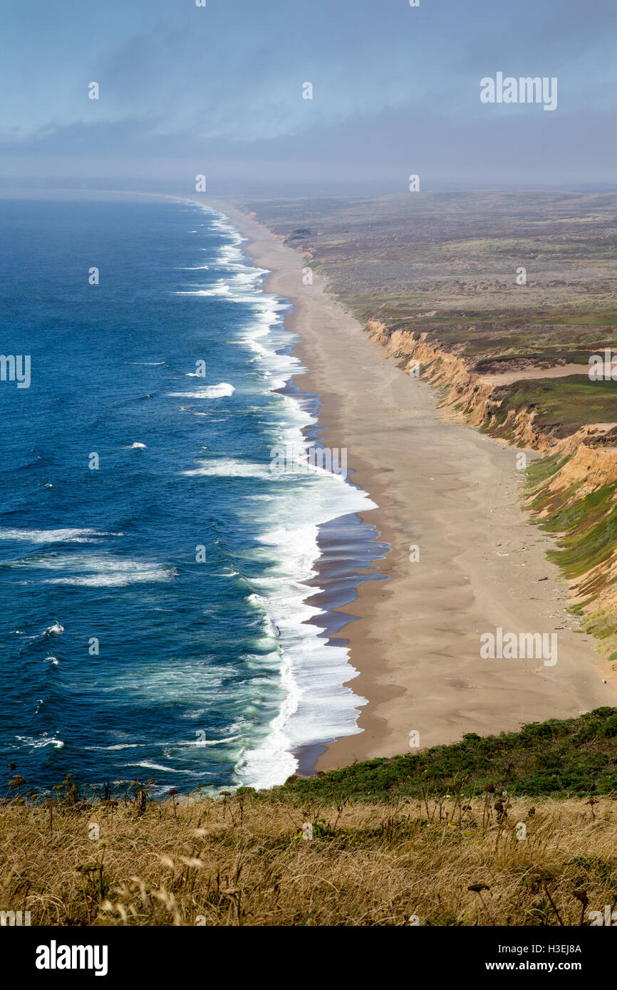 Point Reyes Beach in the Point Reyes National Seashore near San ...