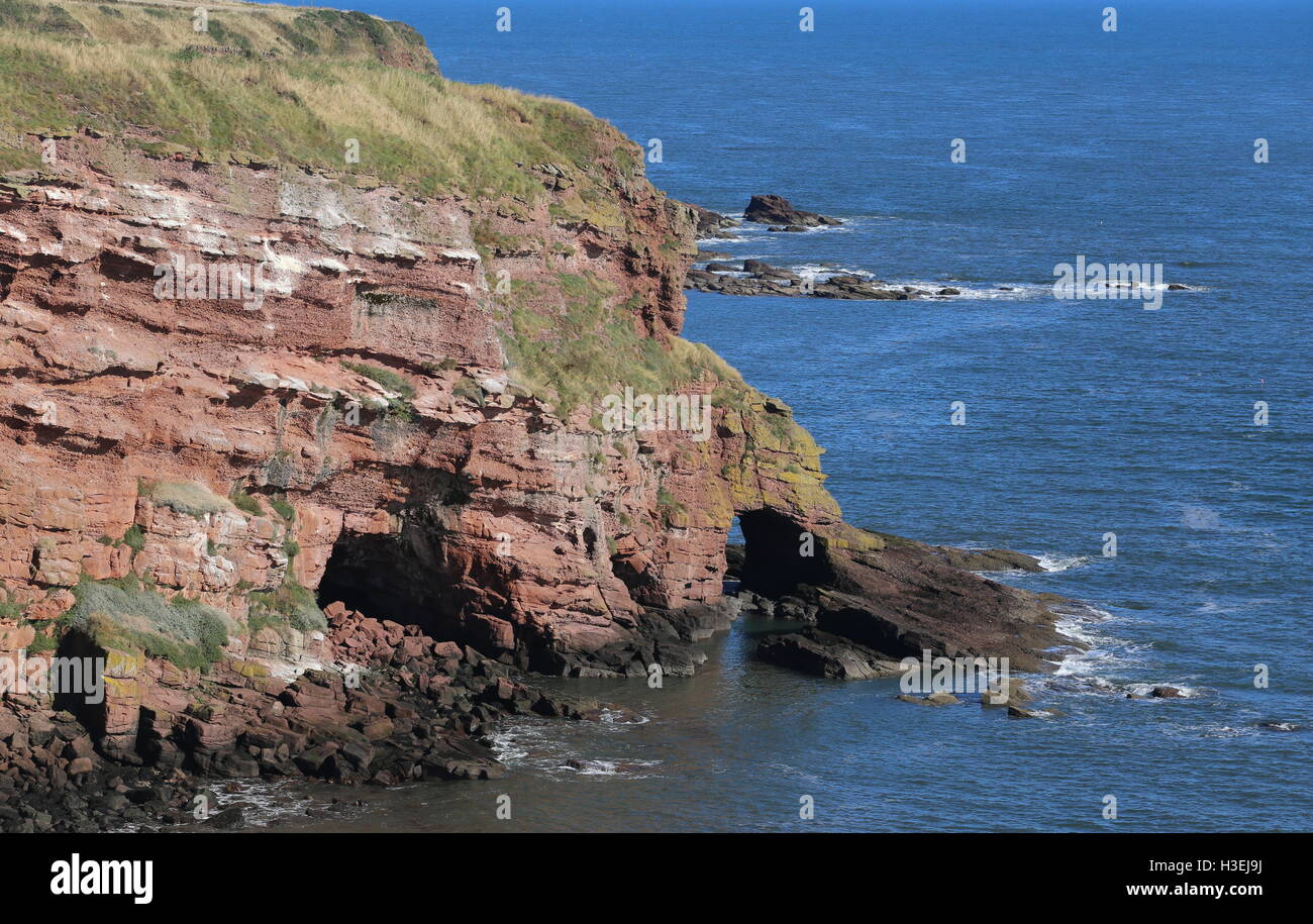Rock arch in Maw Skelly headland Angus Scotland October 2016 Stock ...