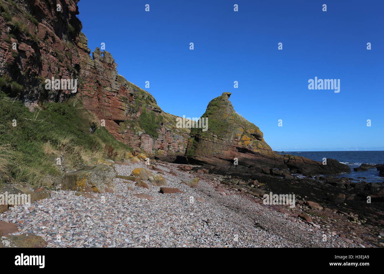 Rock stack Auchmithie beach Angus Scotland October 2016 Stock Photo - Alamy