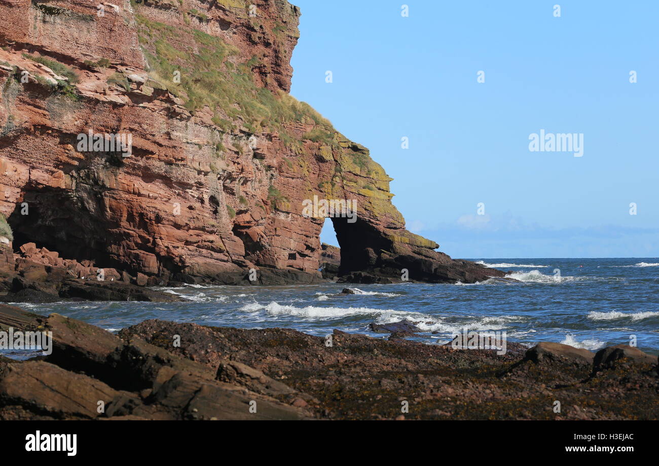 Rock arch in Maw Skelly headland Angus Scotland October 2016 Stock ...
