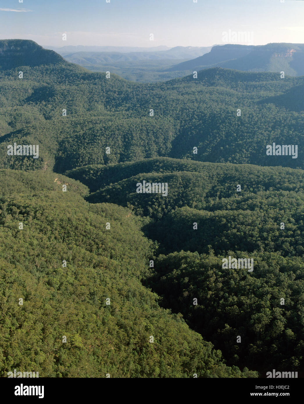 Jamison Valley from Echo Point at Katoomba. Blue Mountains National ...