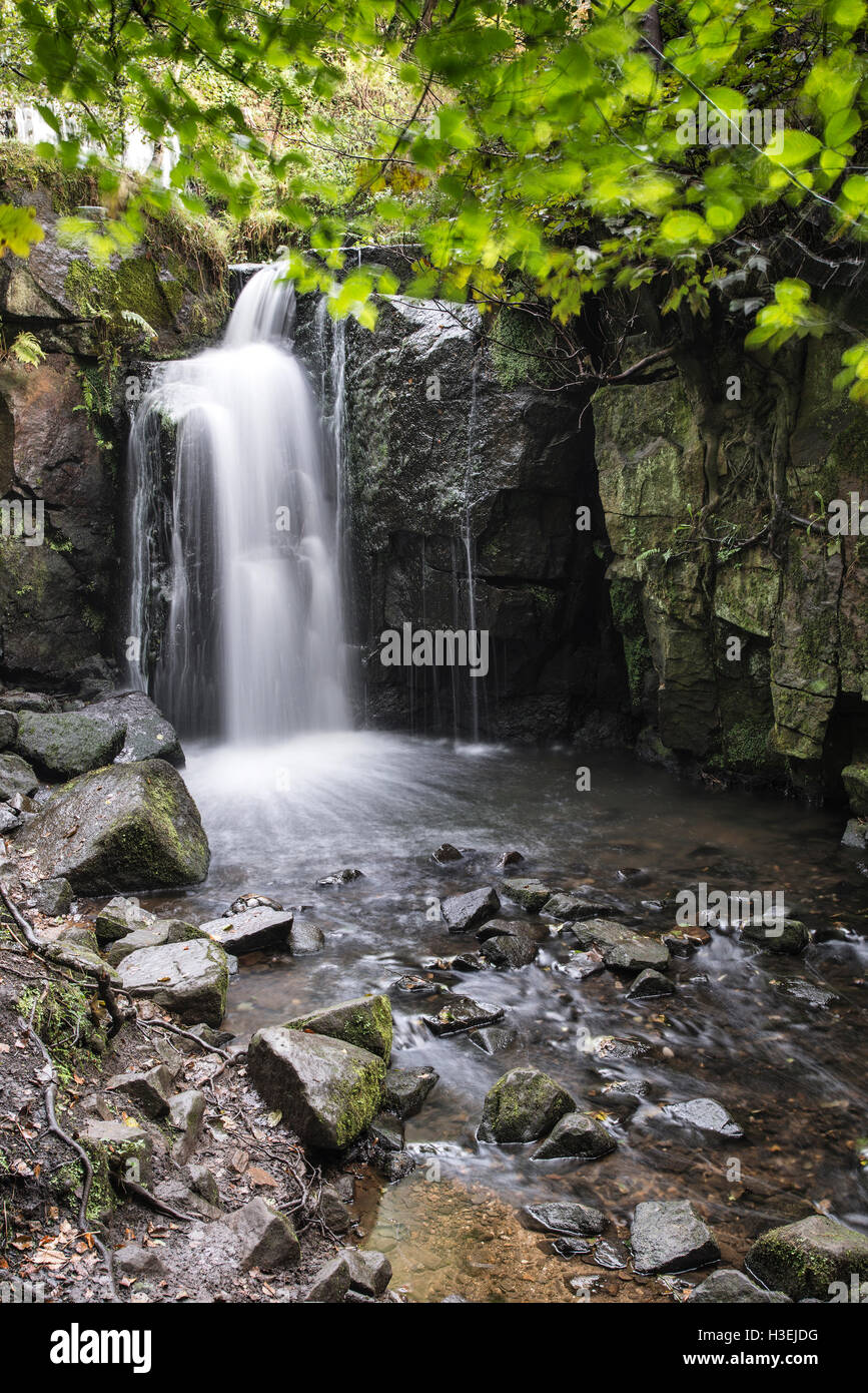 Waterfall in forest landscape long exposure flowing through trees and ...