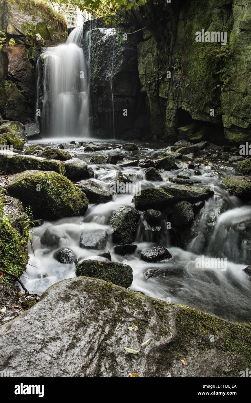 Waterfall in forest landscape long exposure flowing through trees and ...