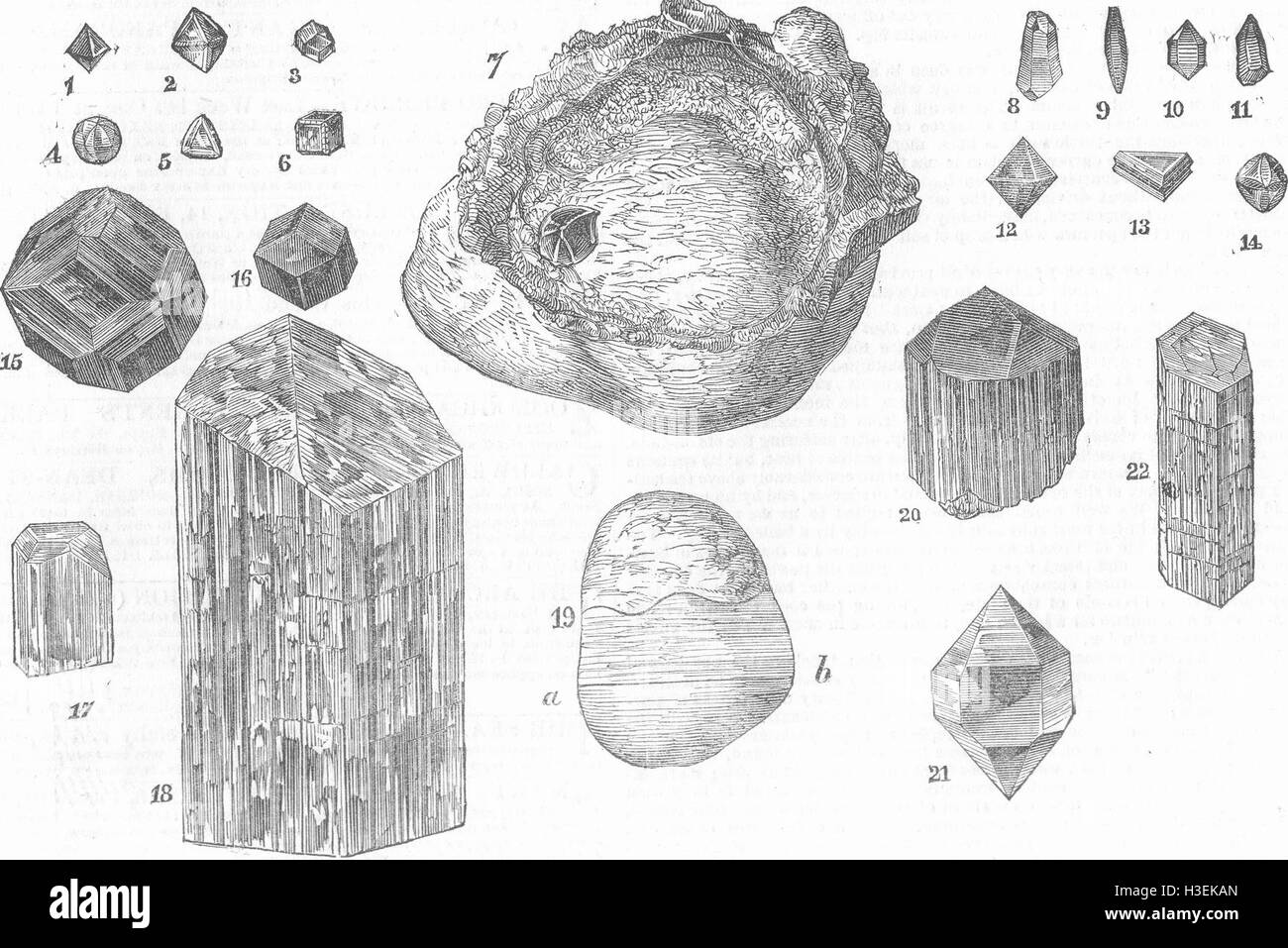 8 of diamonds Black and White Stock Photos & Images - Alamy