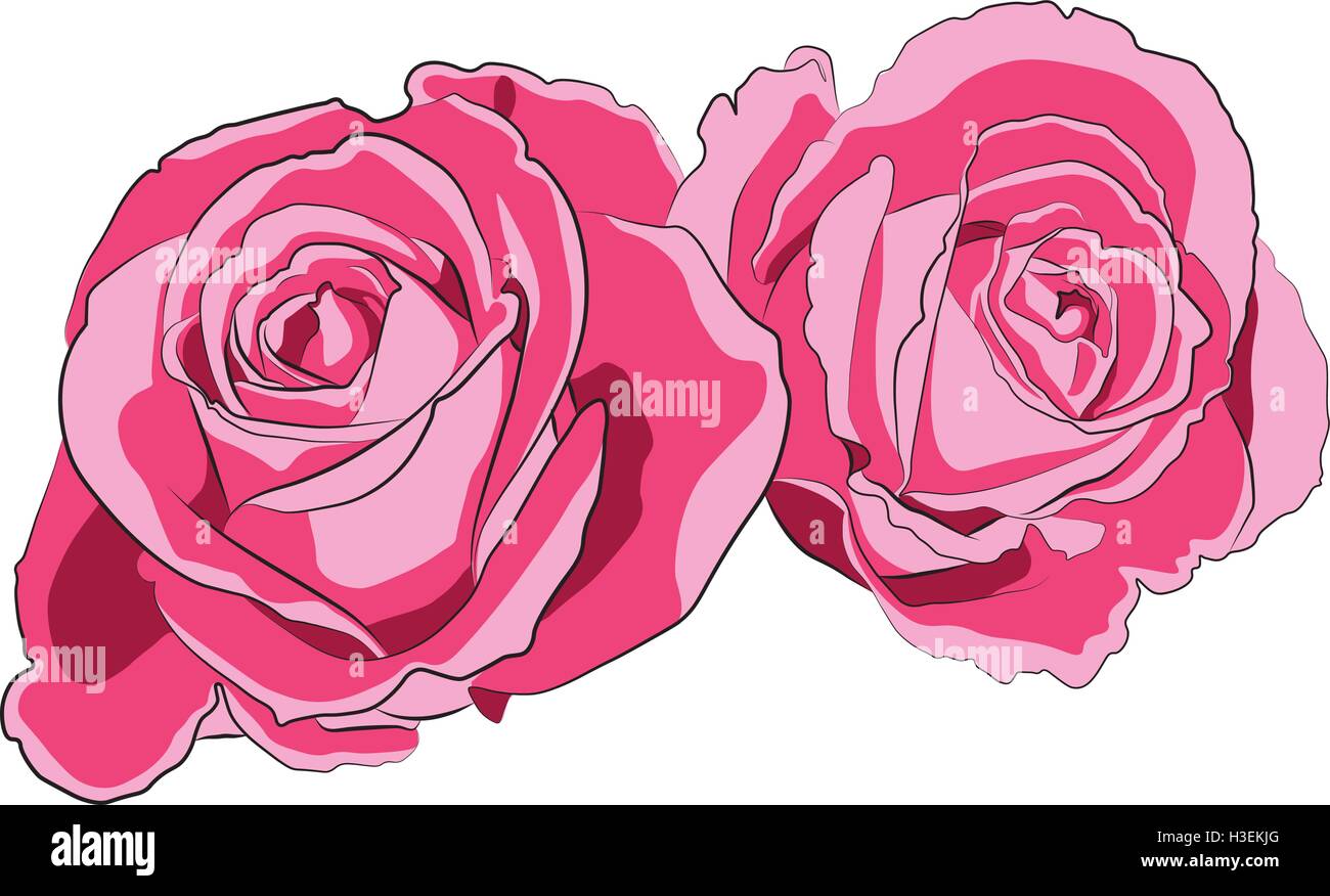 Rosa the Stock Vector Images - Alamy
