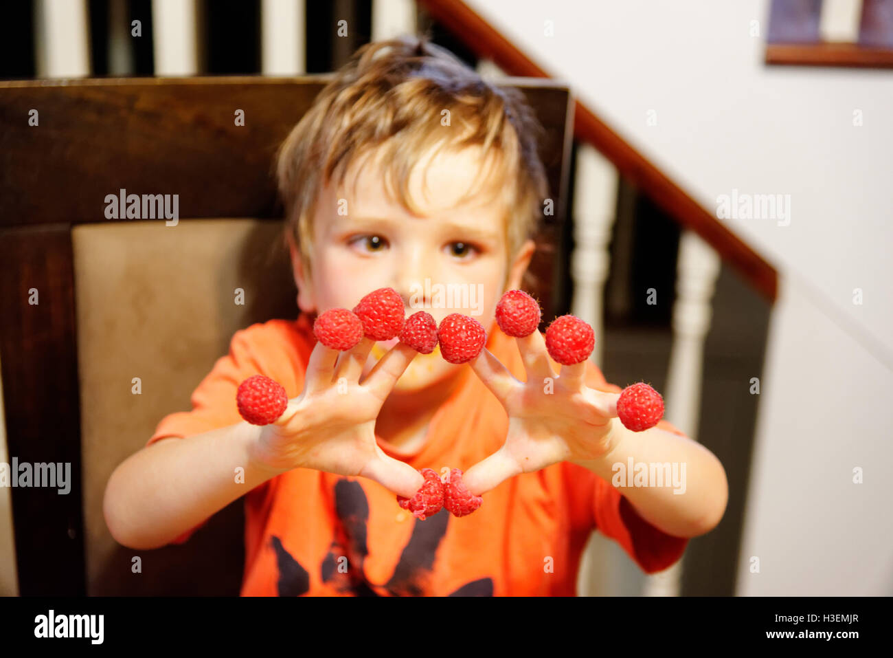 A four year old boy with raspberries in his fingers Stock Photo - Alamy