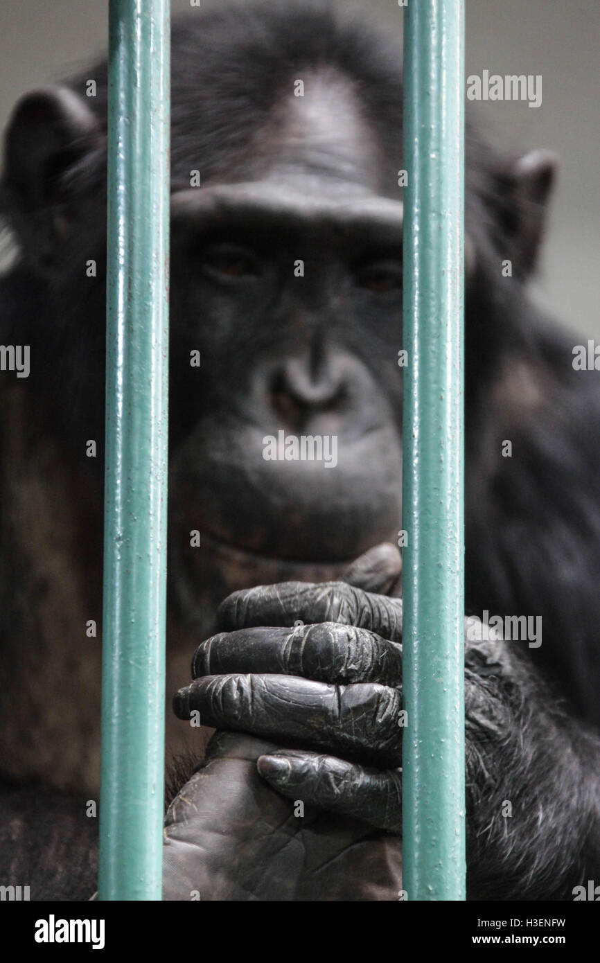 Focus on a human touch Stock Photo - Alamy