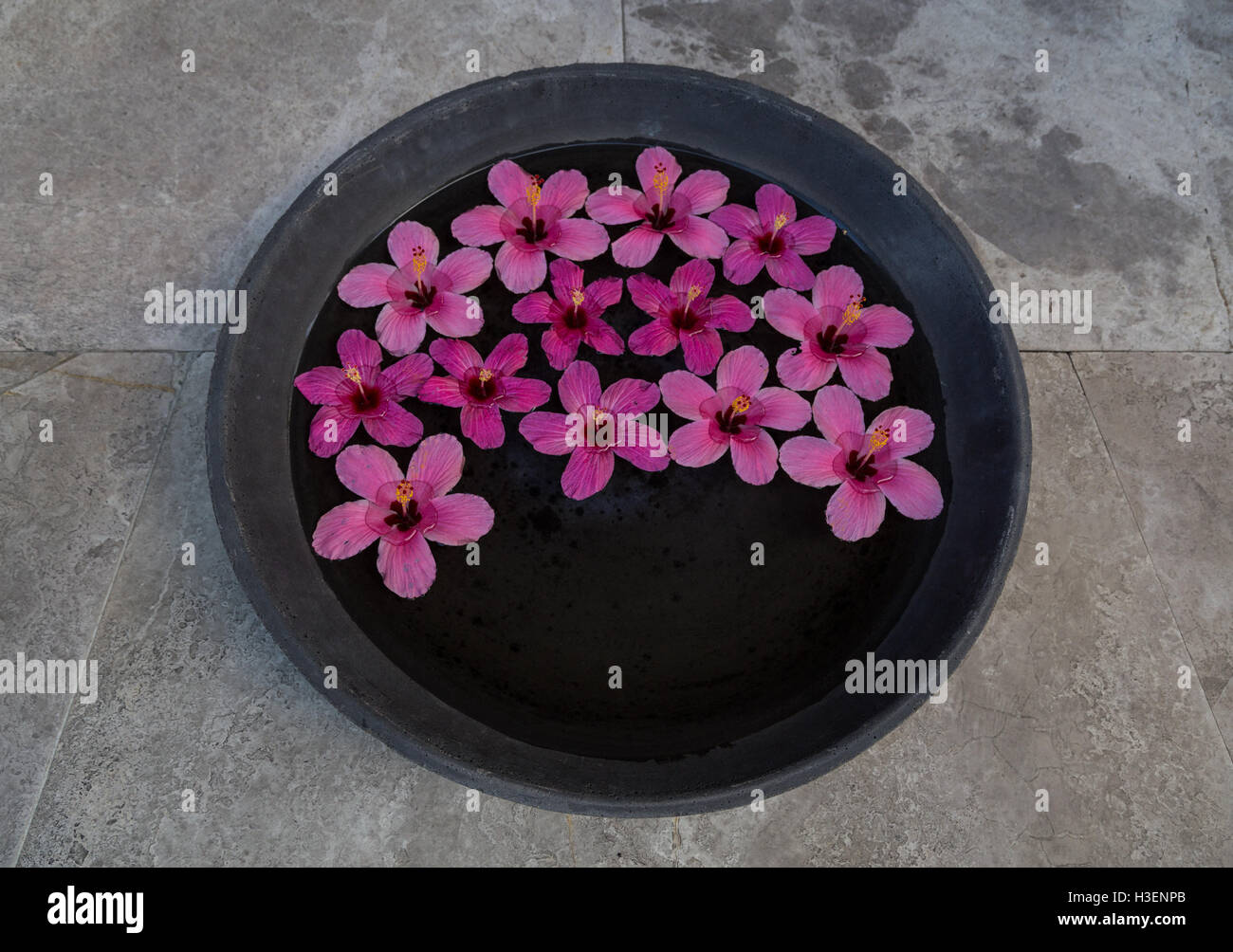 Flowers swim in a water bowl Stock Photo - Alamy