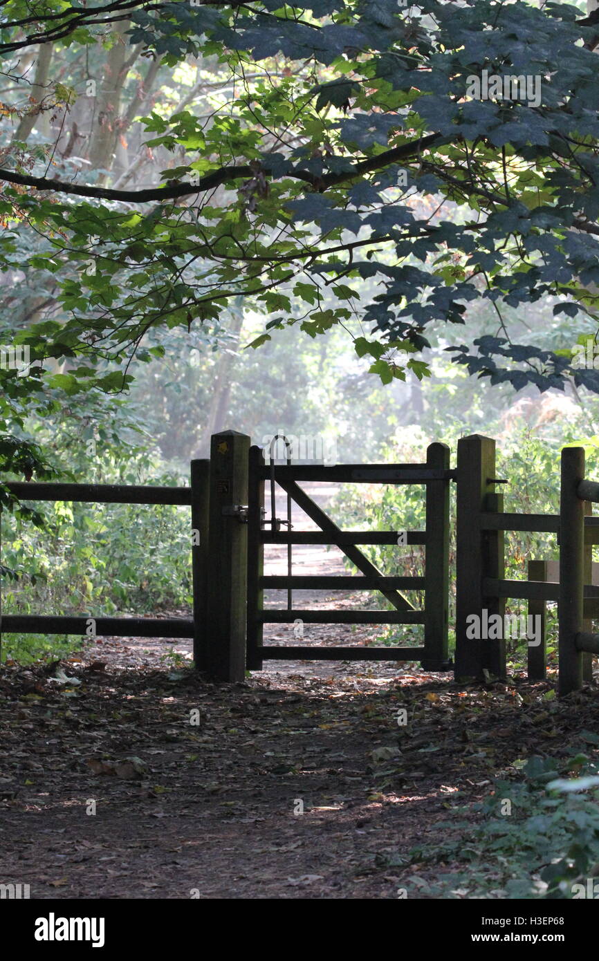 Woodland gate and fence hi-res stock photography and images - Alamy