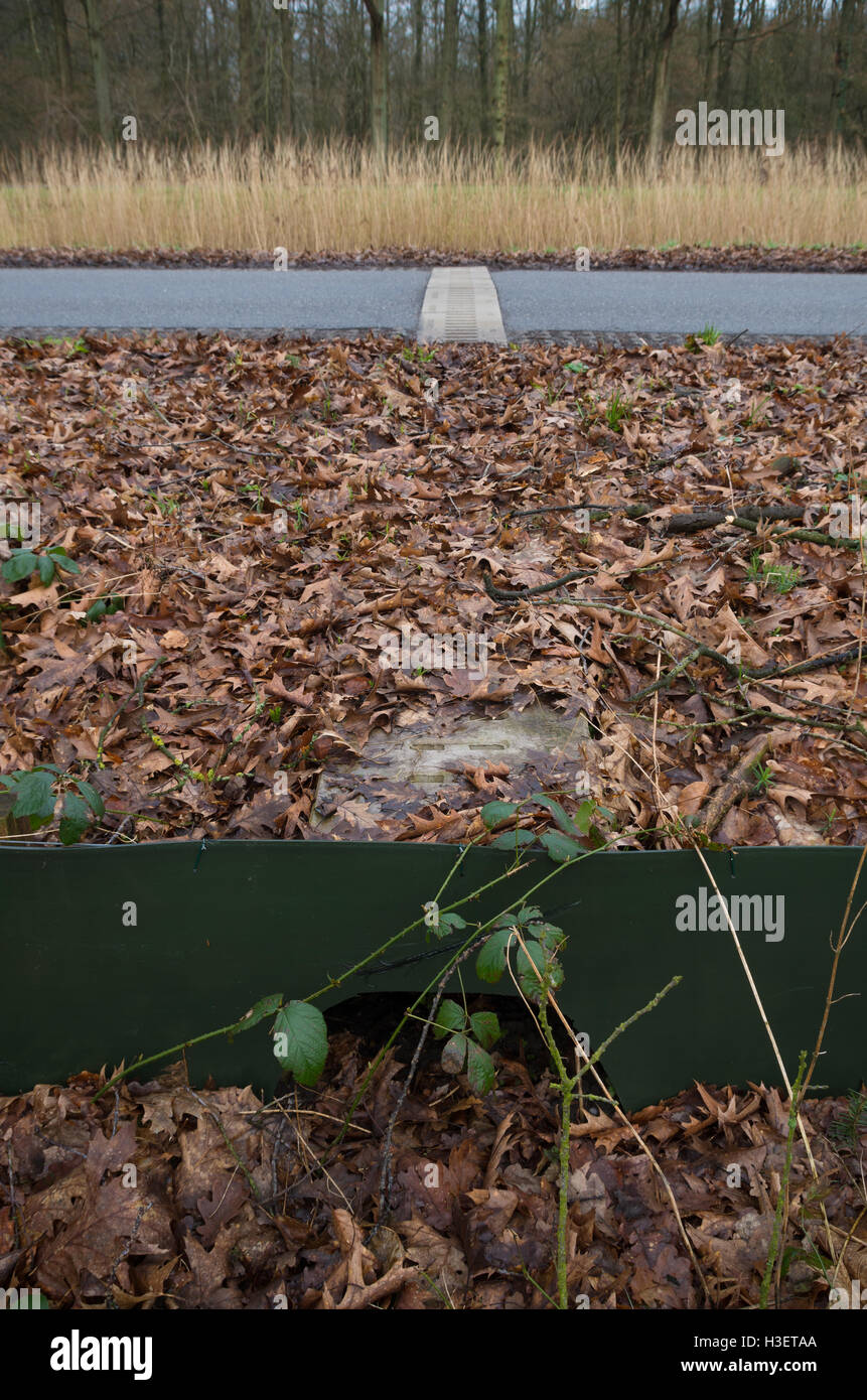 Animal Underpass High Resolution Stock Photography and Images - Alamy