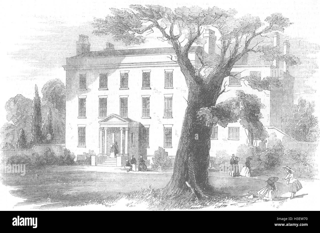 Hatcham grove hi-res stock photography and images - Alamy