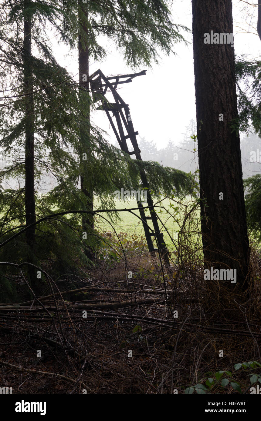 wooden observation post for spotting wildlife Stock Photo - Alamy