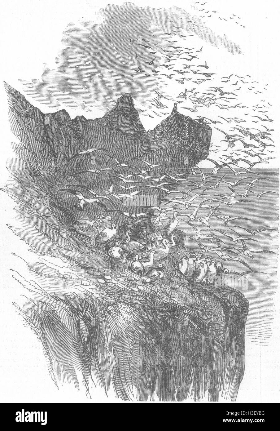 Illustrated rock Black and White Stock Photos & Images - Alamy