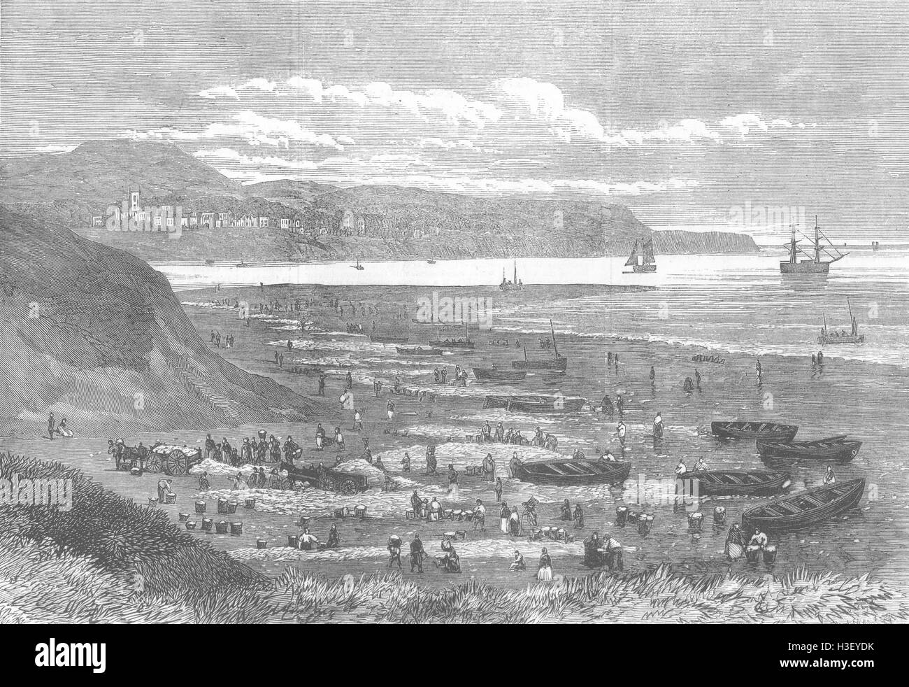 You take Black and White Stock Photos & Images - Alamy