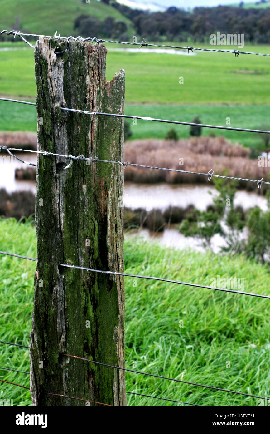 Old, mossy, wooden fence post, with lush green farmland beyond Stock ...
