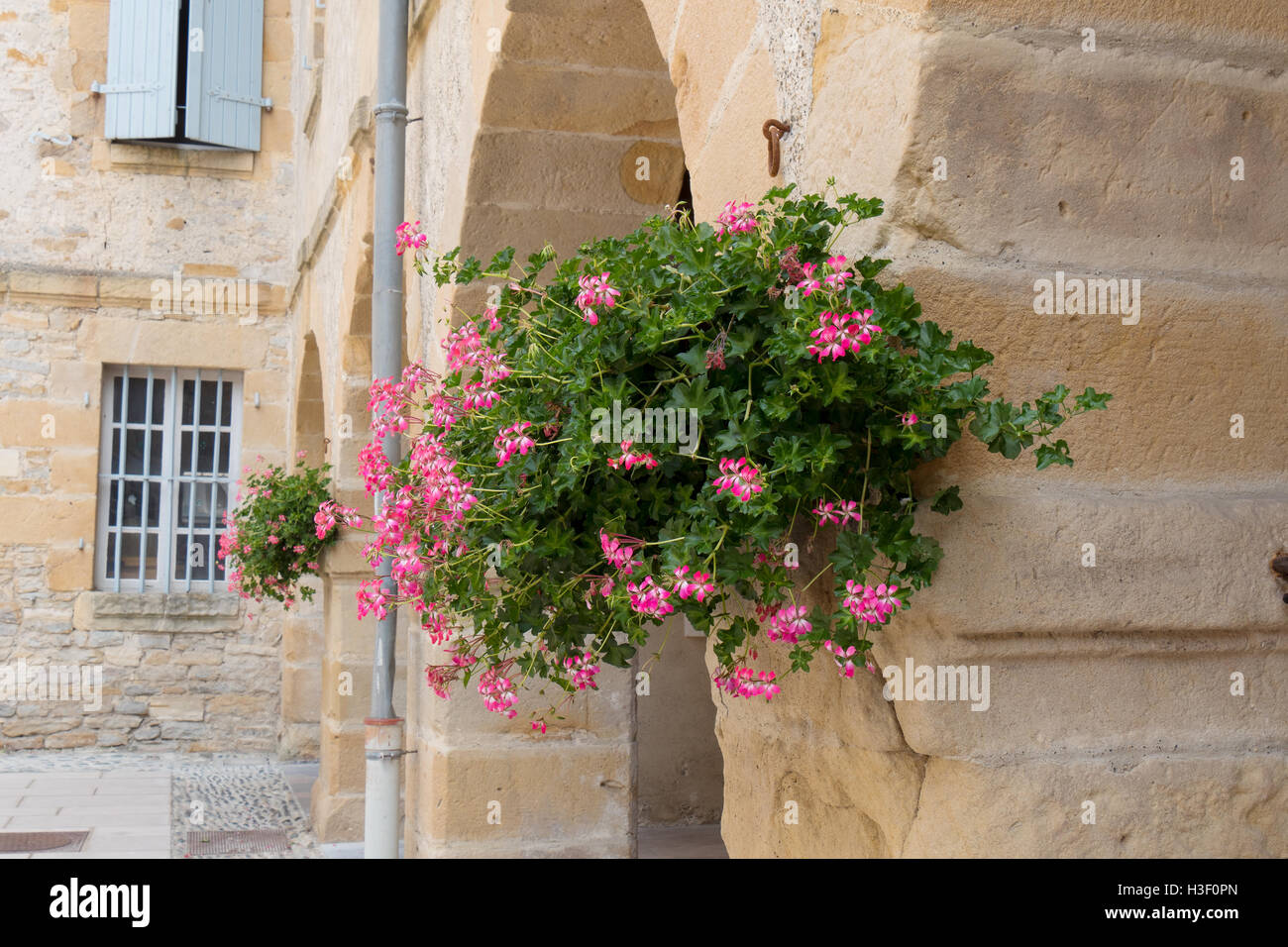 beautiful bouquet of flowers hanging on the wall Stock Photo - Alamy
