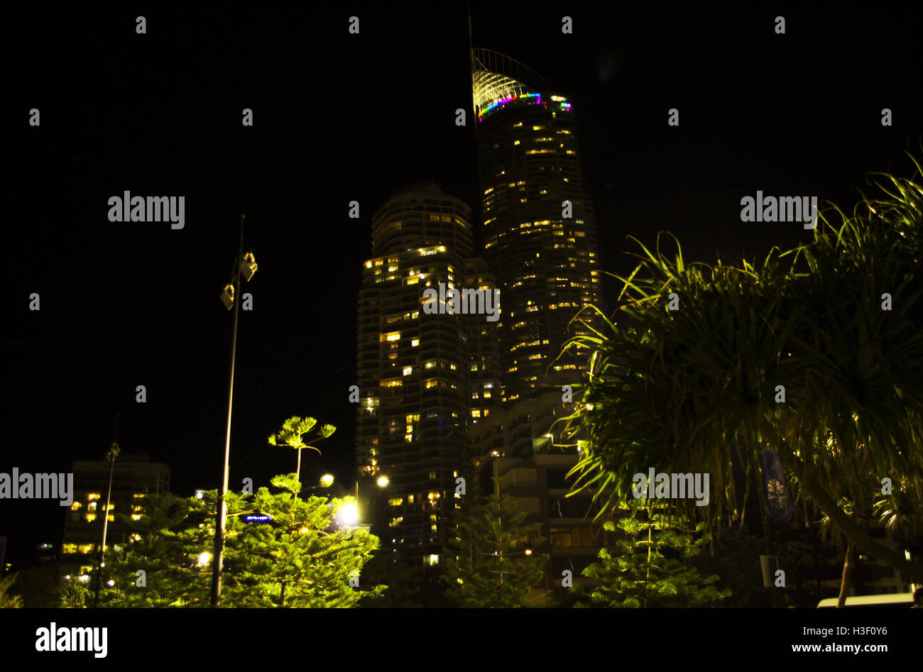 City and County hotel Building night view with greenery and light. twin ...