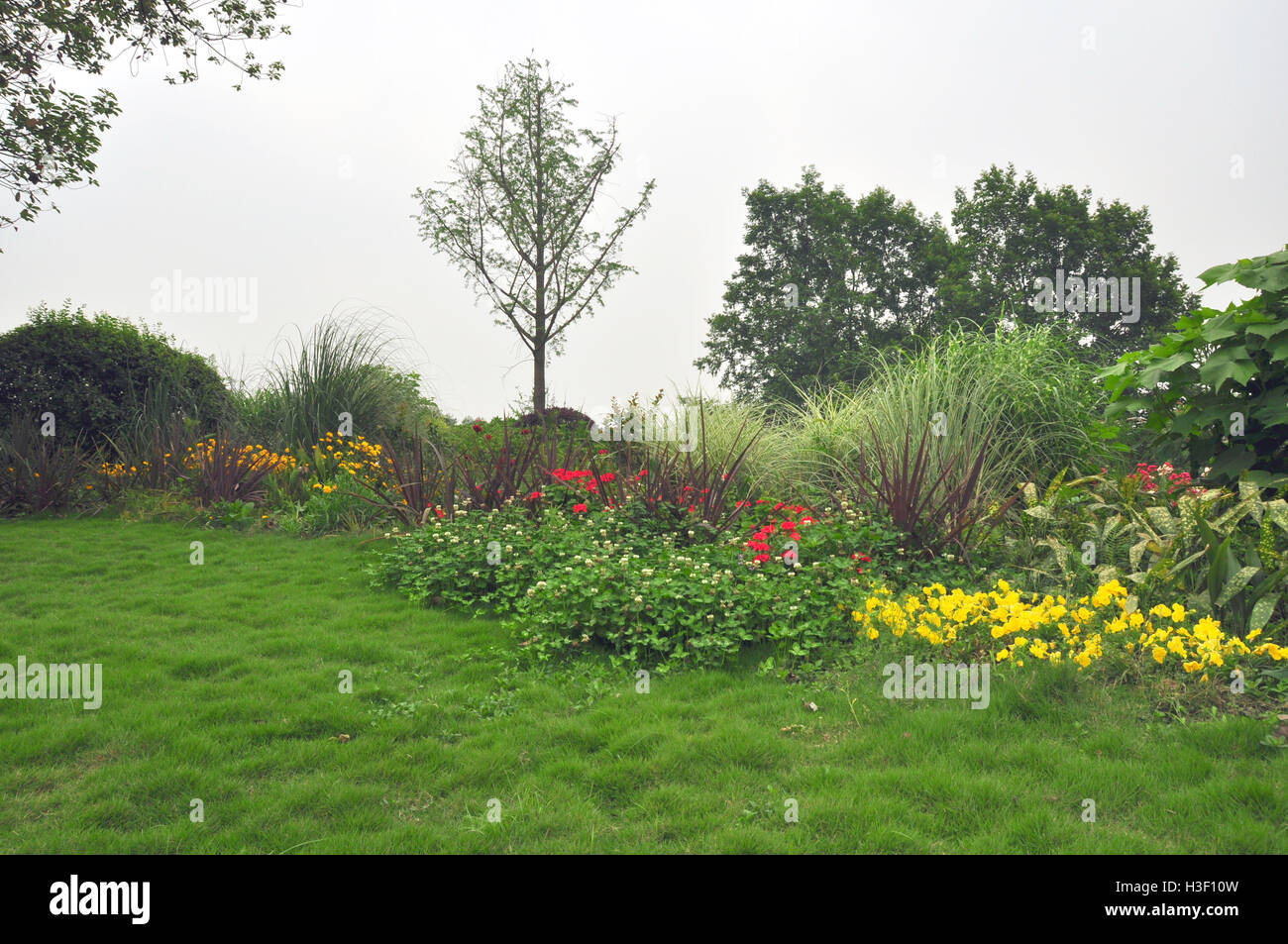 Assorted flowers & trees Stock Photo - Alamy