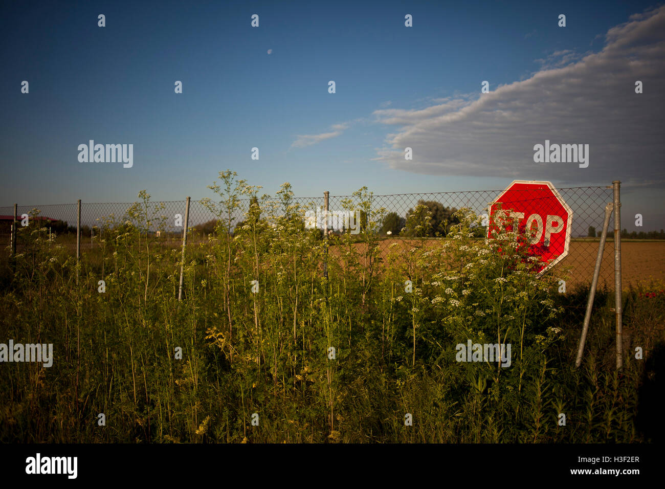 Stop sign behind fence along the Camino de Santiago, route Frances ...