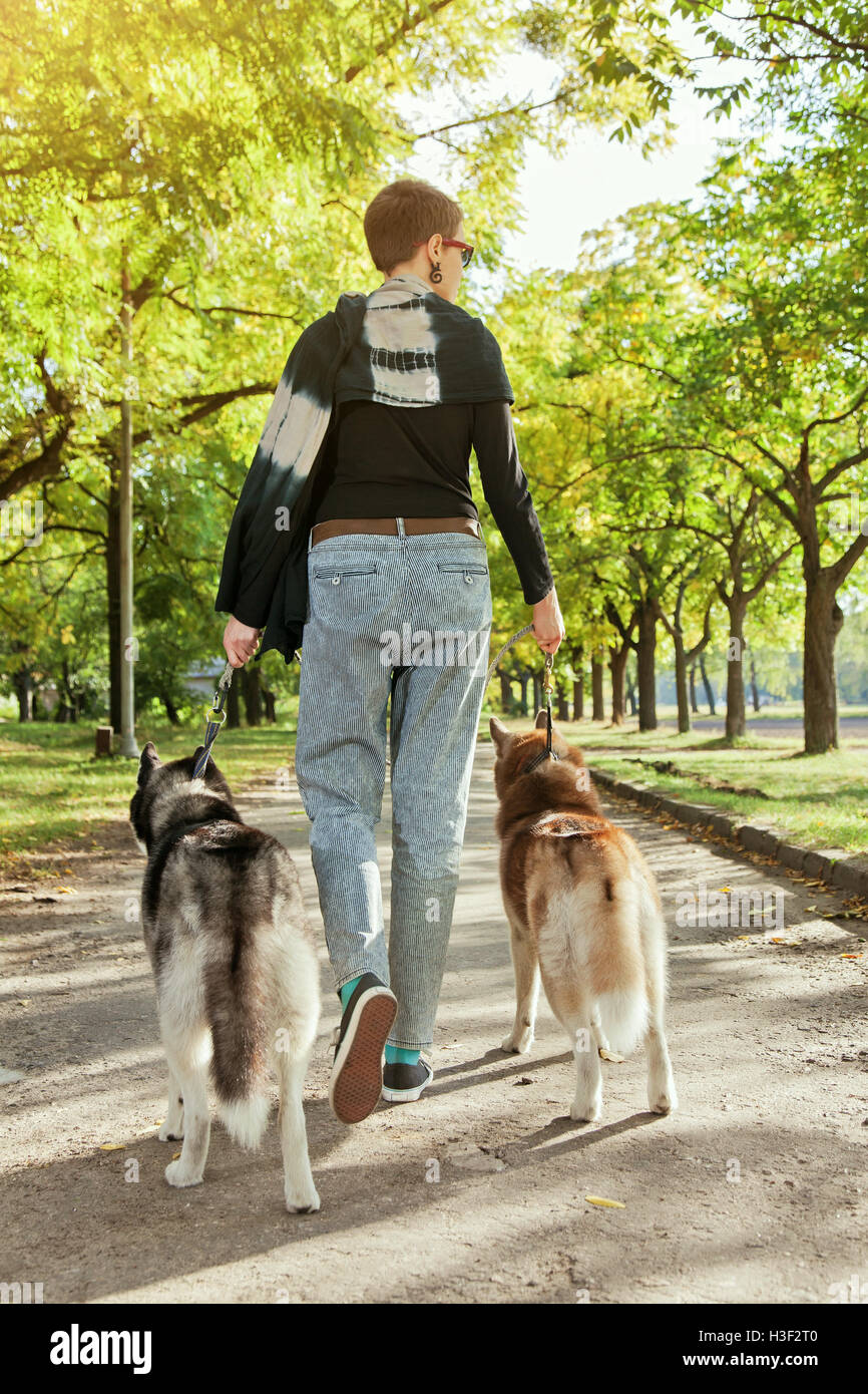 Young girl with two dogs Husky walking through the park Stock Photo - Alamy