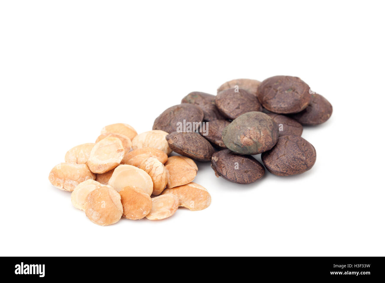 sacha inchi seeds isolated on white background Stock Photo - Alamy