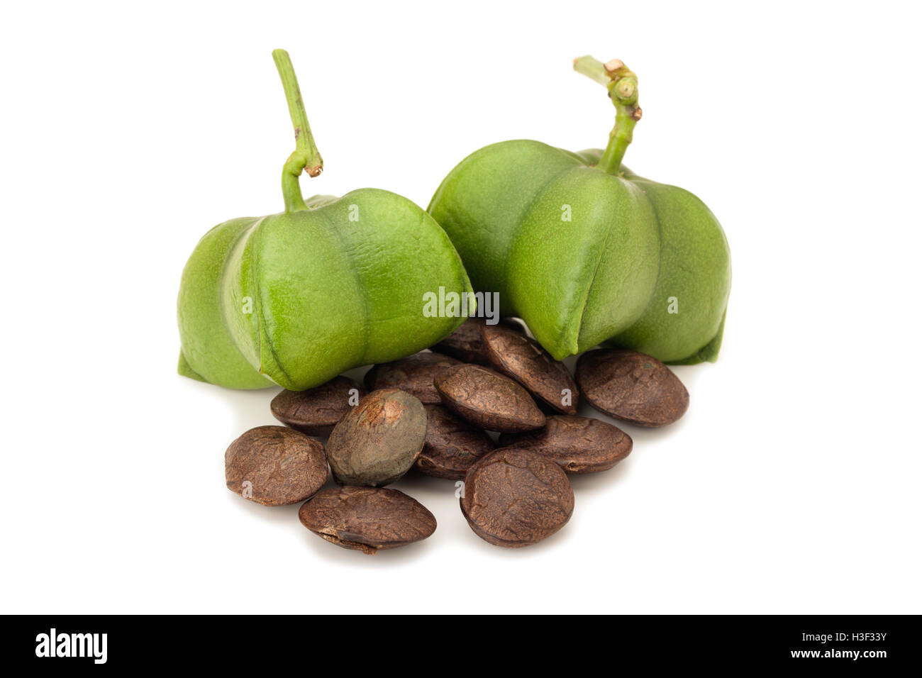 sacha inchi seeds isolated on white background Stock Photo - Alamy