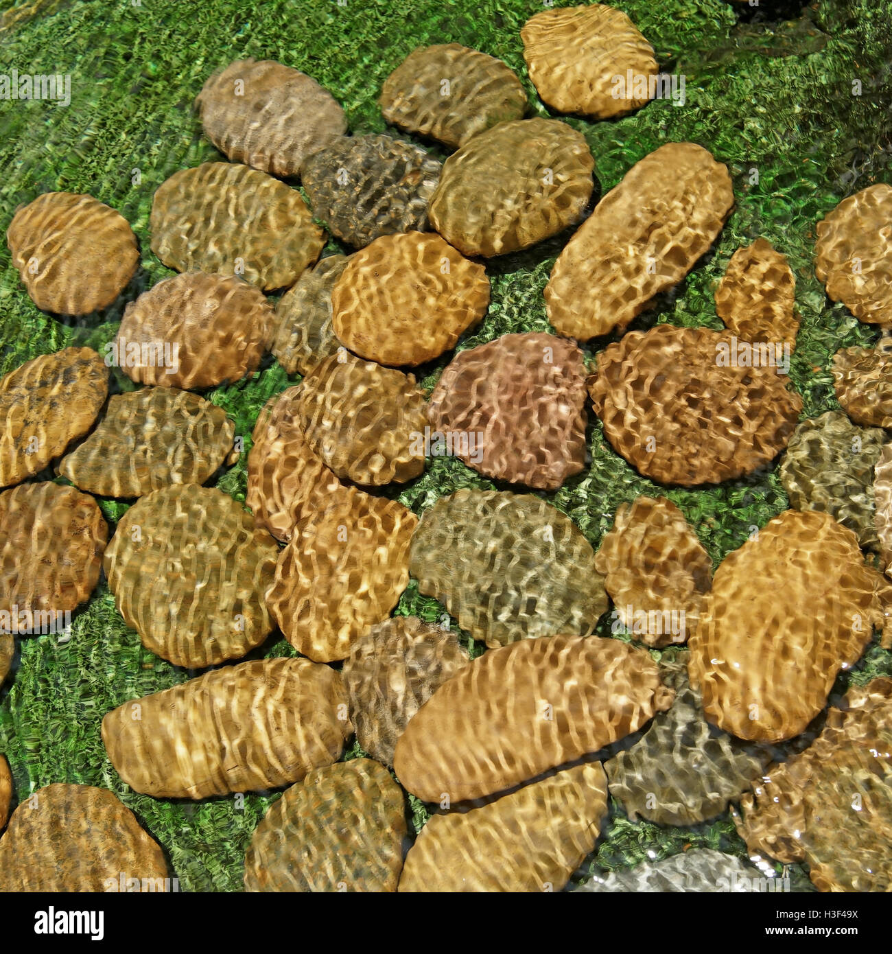 pile of pebble stone in the water with ripped on surface Stock Photo ...