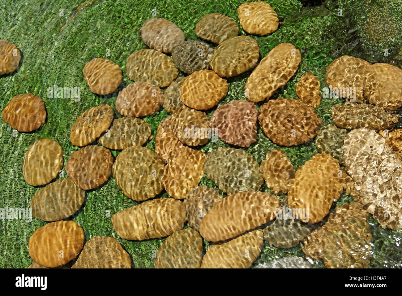 pile of pebble stone in the water with ripped on surface Stock Photo ...