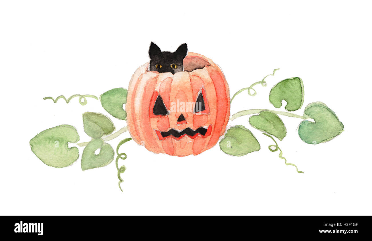 Cute cat black food Cut Out Stock Images & Pictures - Alamy