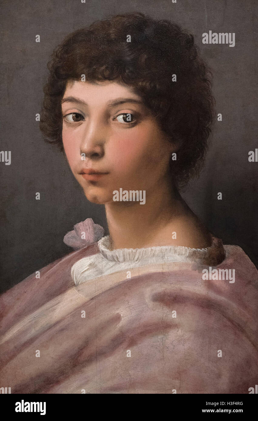 Raphael raffaello sanzio da urbino 1483 1520 was hi-res stock ...