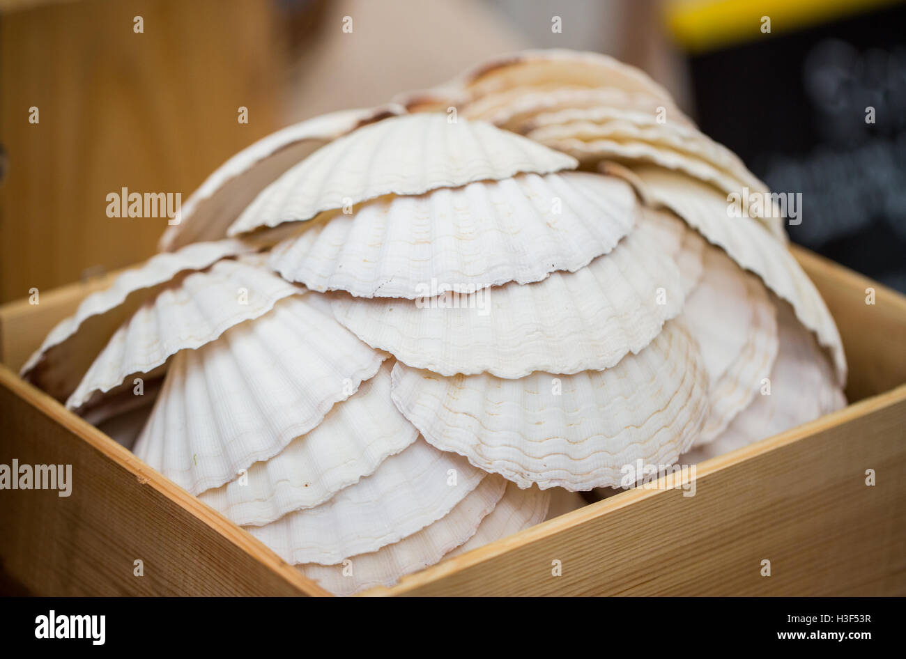 Seashell pile hi-res stock photography and images - Alamy