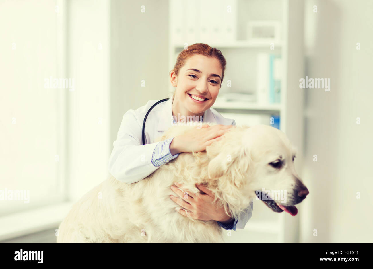 happy doctor with retriever dog at vet clinic Stock Photo - Alamy