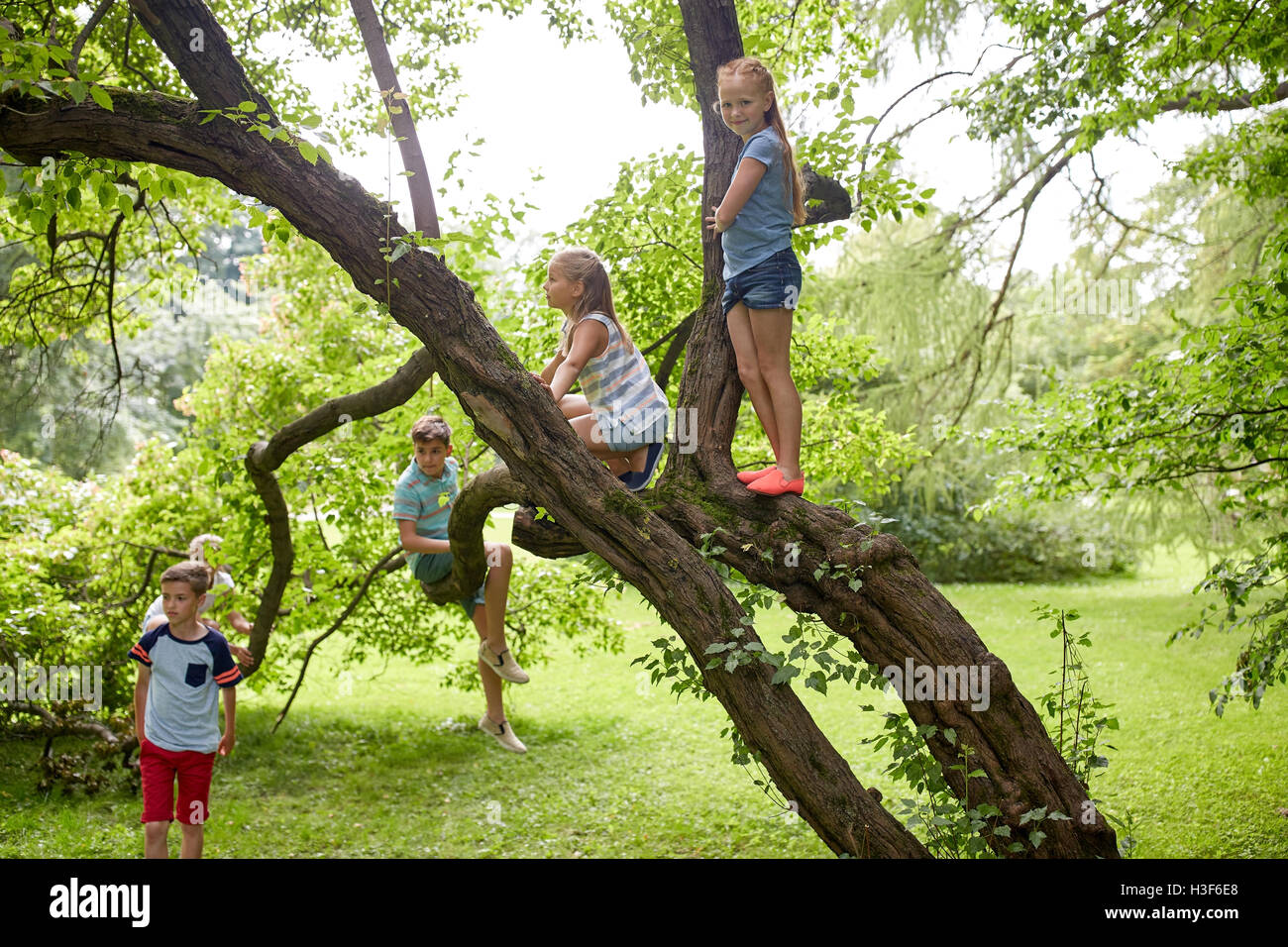 Happy tree friends hi-res stock photography and images - Alamy