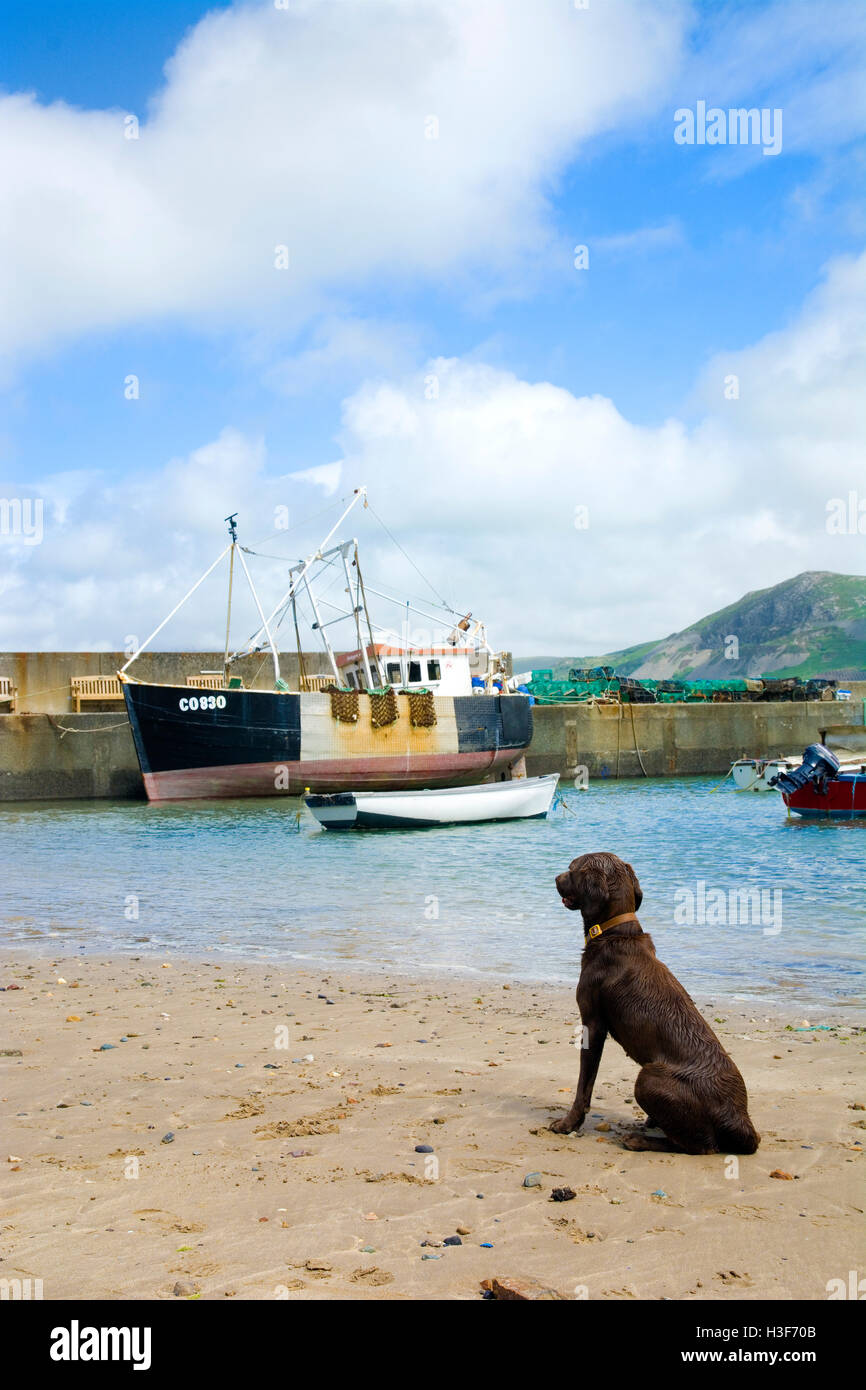 Labrador peninsula hi-res stock photography and images - Alamy