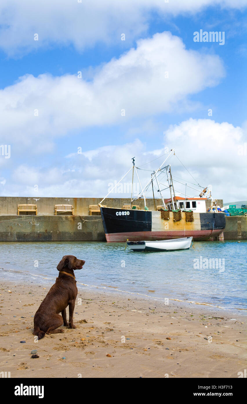 Labrador peninsula hi-res stock photography and images - Alamy
