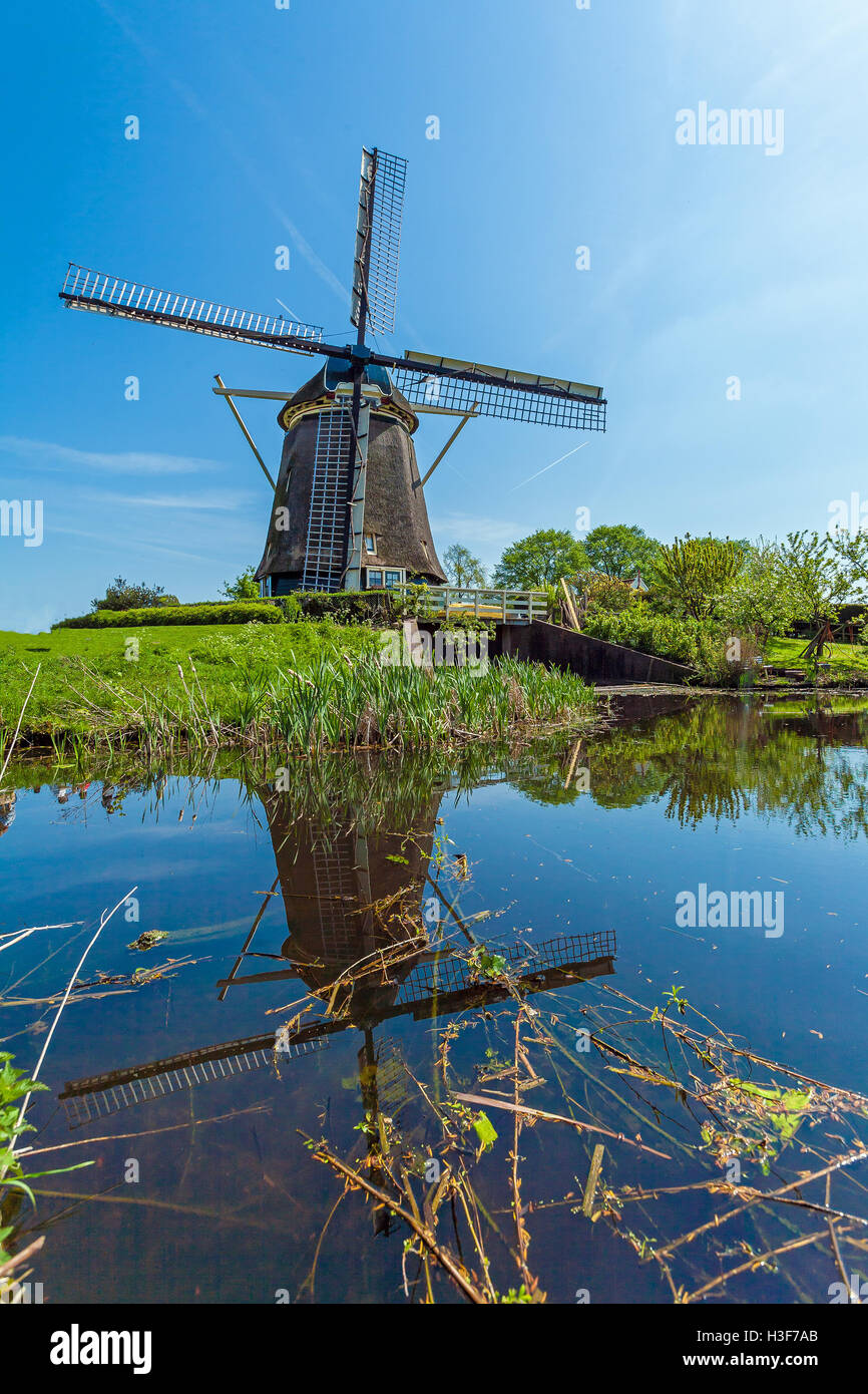 Traditional Dutch windmills near Amsterdam, Netherlands Stock Photo - Alamy