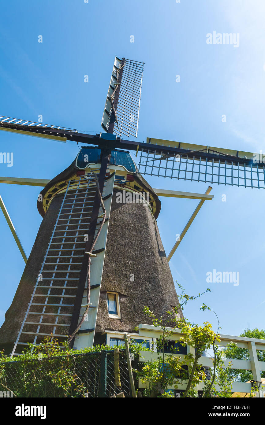 Traditional Dutch windmills near Amsterdam, Netherlands Stock Photo - Alamy