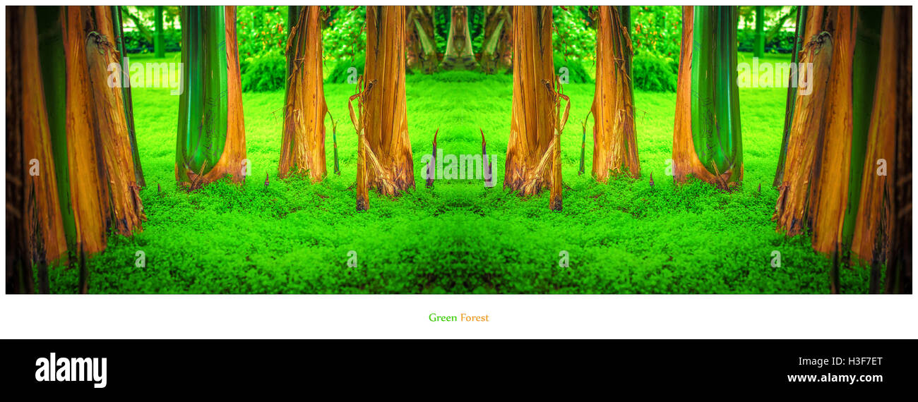Abstract green forest composition Stock Photo - Alamy